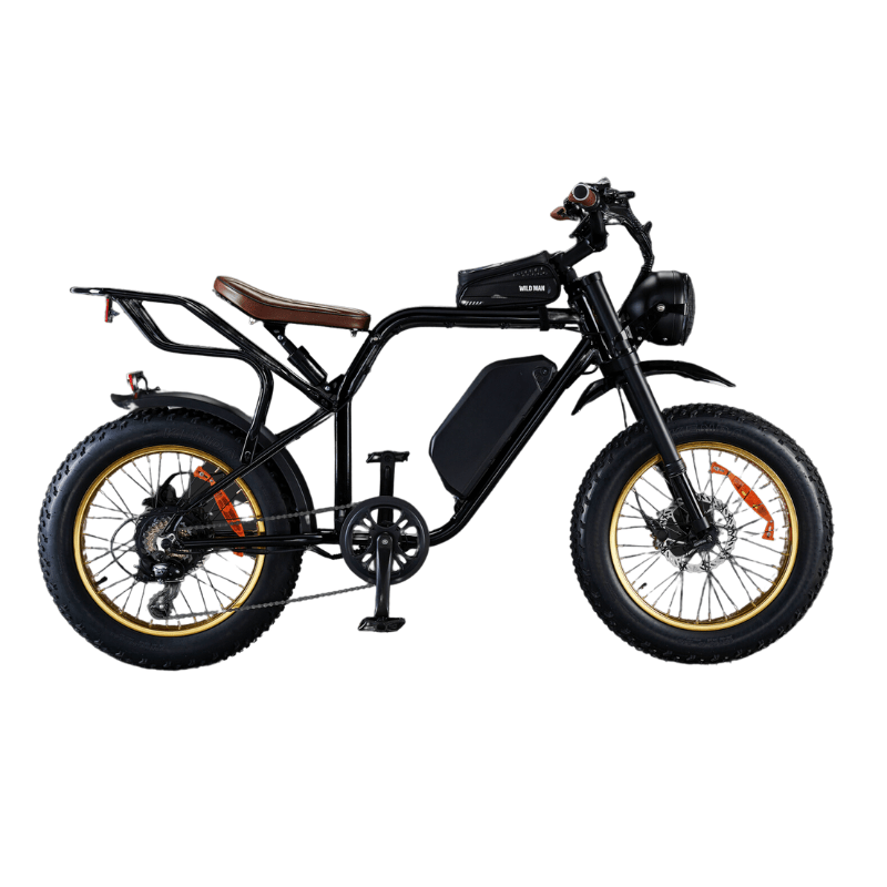 Rocket SX Sport Utility Electric Bike 250W | Free Delivery | Best ...